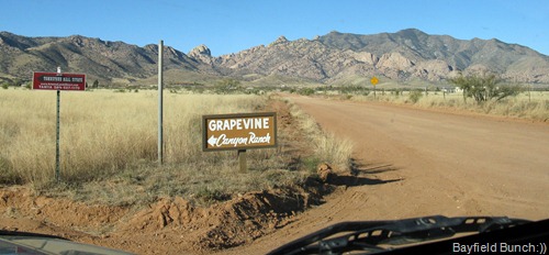 TRAVEL WITH THE BAYFIELD BUNCH:)): TODAY WE VISITED THE GRAPEVINE ...